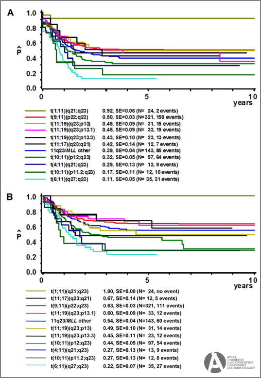 11q23 rearrangements (KMT2A) in de novo childhood acute myeloid leukemia