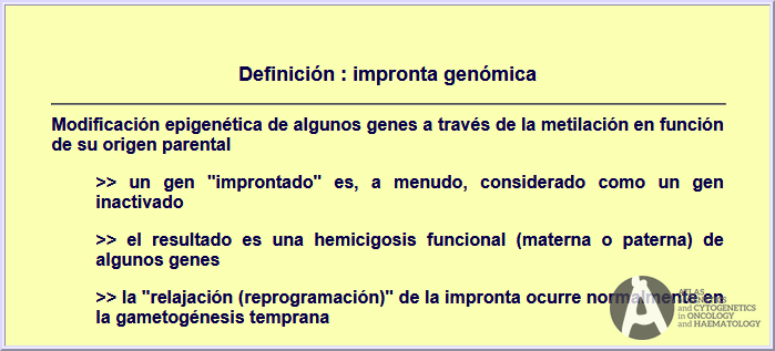 Disomía uniparental (UPD, uniparental disomy)