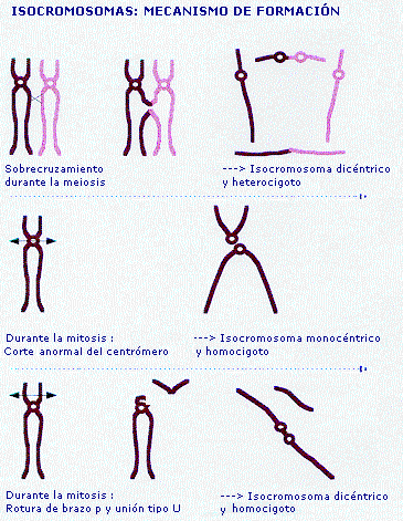 Imágenes De Anomalías Cromosómicas Changing The Way You Learn